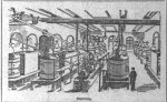 The Rich History of Butterfly Absinthe