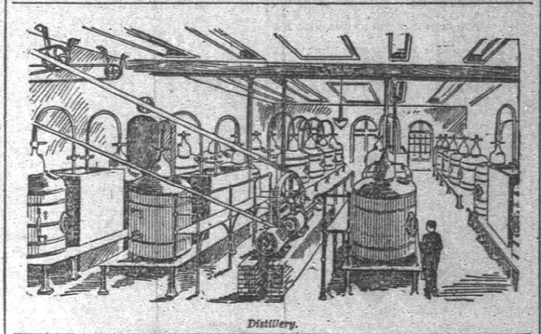 The Rich History of Butterfly Absinthe